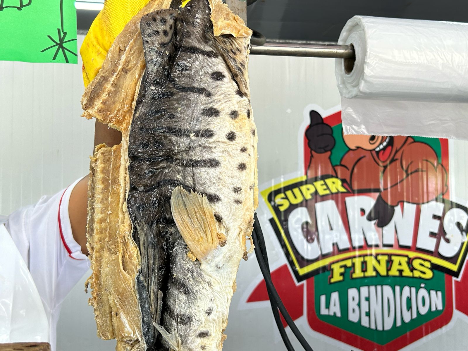 El bagre pintado, protagonista en la mesa de Semana Santa ...
