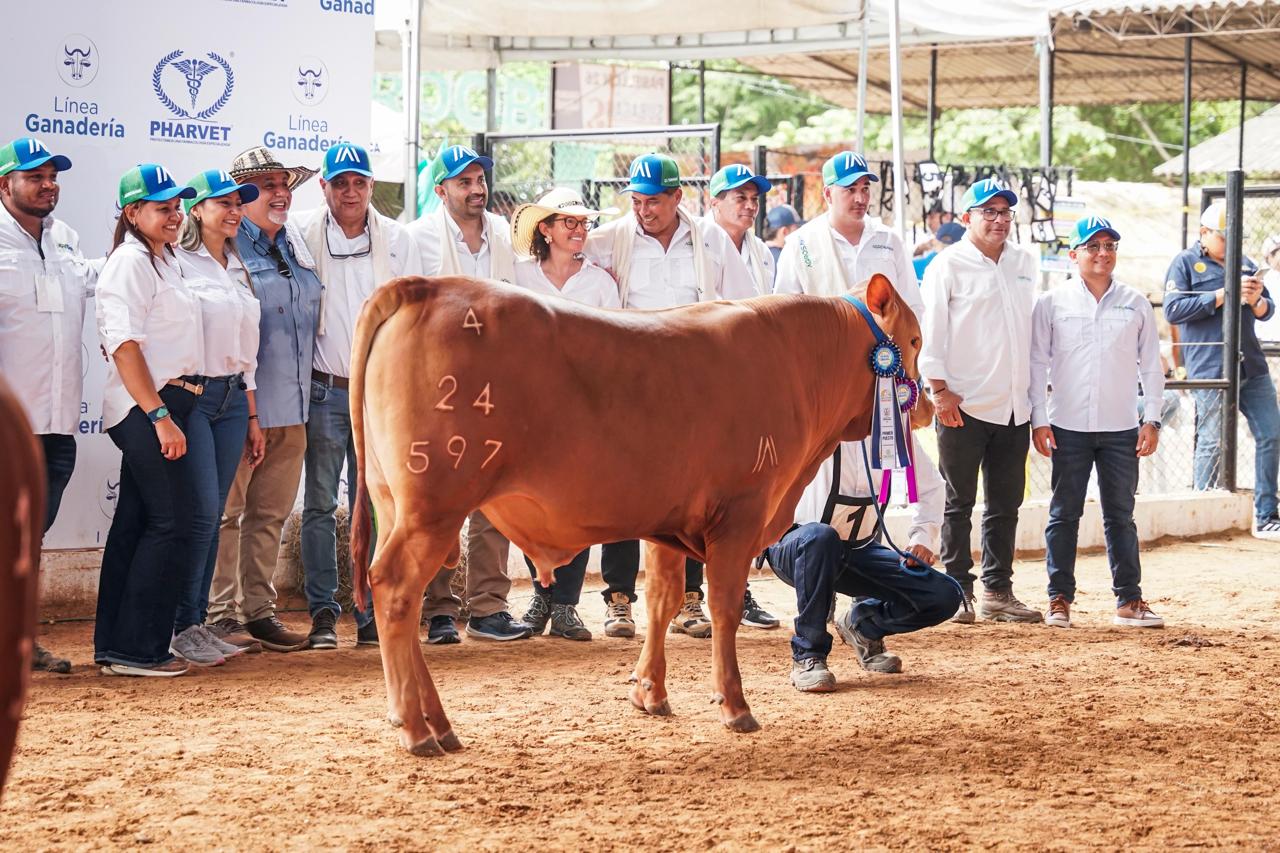 Éxito total en la primera Exposición Nacional de Romosinuano en la ...