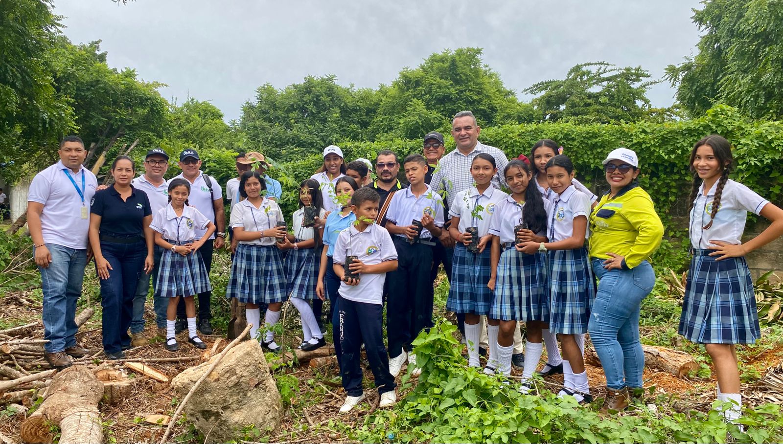 Afinia se suma a la restauración ecológica de la Ciénaga Grande de ...