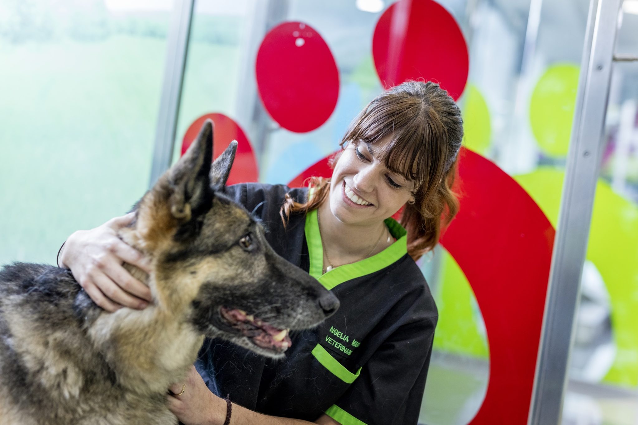 MSD Salud Animal dona 7 millones de vacunas para reforzar la lucha ...
