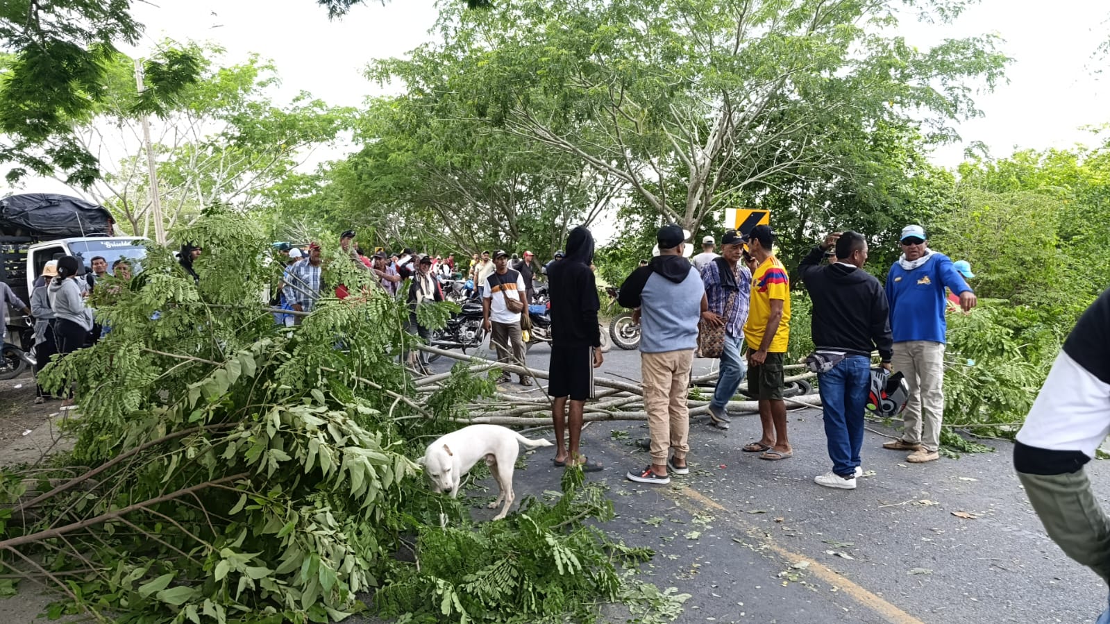 Protesta en San Pelayo: cierran paso por miedo a inundaciones ...